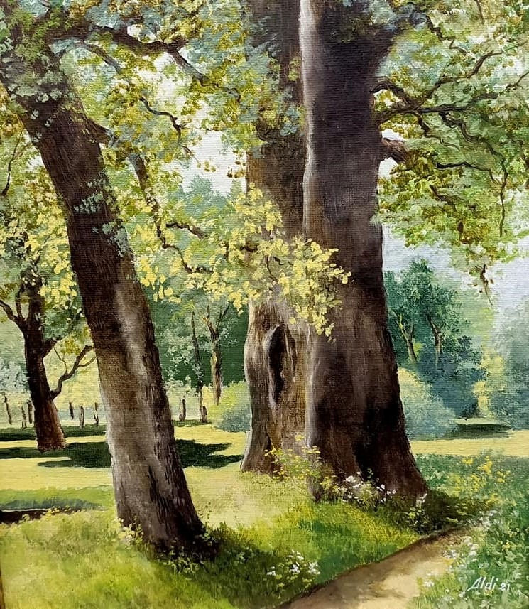 Alberi a Belfiore